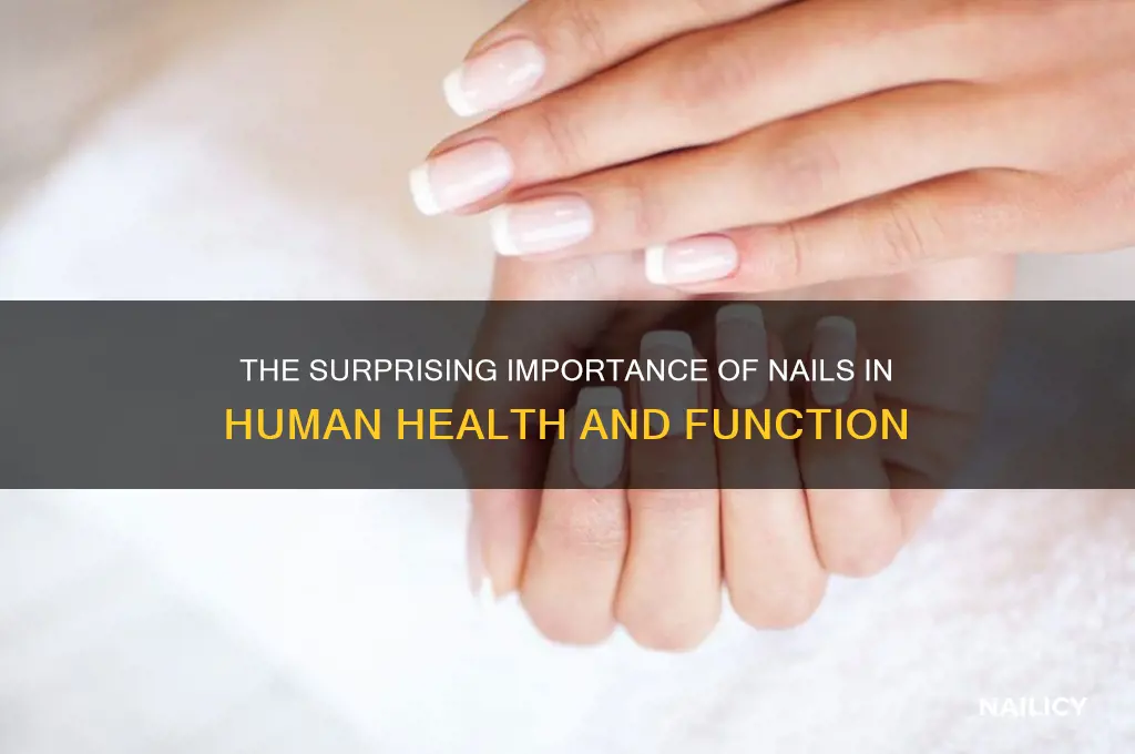 The Surprising Importance Of Nails In Human Health And Function | Nailicy