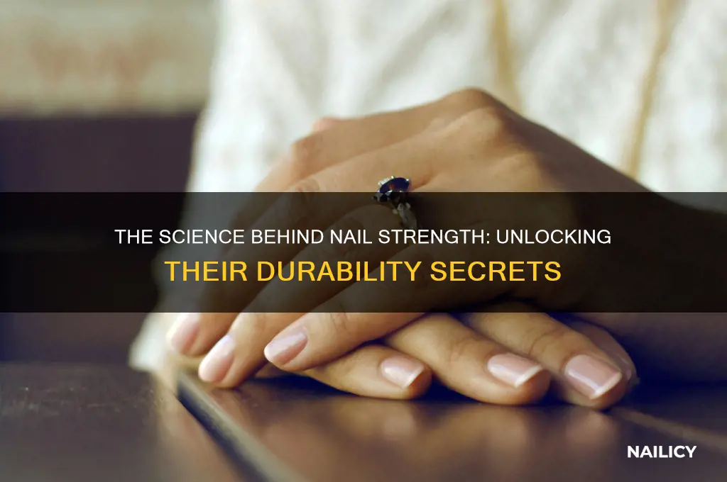 The Science Behind Nail Strength: Unlocking Their Durability Secrets ...