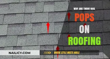 Understanding Nail Pops On Roofing: Causes, Prevention, And Solutions ...