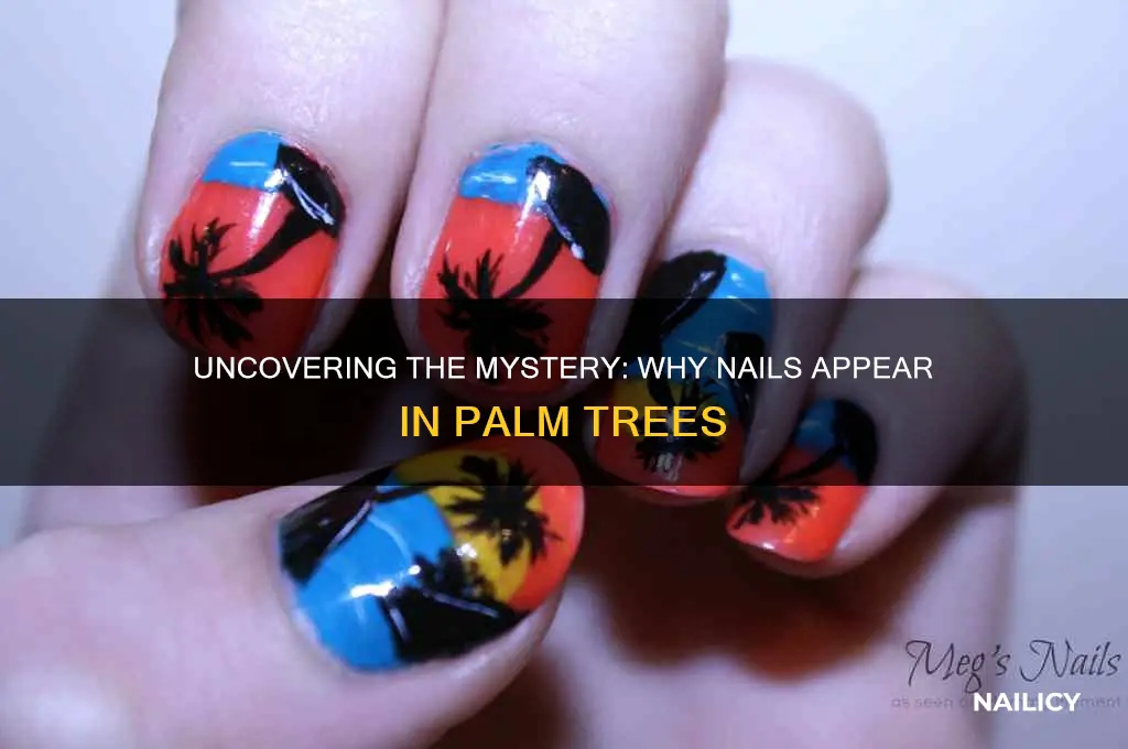 Uncovering The Mystery: Why Nails Appear In Palm Trees | Nailicy