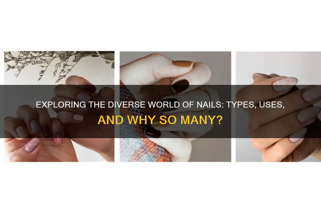 Exploring The Diverse World Of Nails: Types, Uses, And Why So Many ...