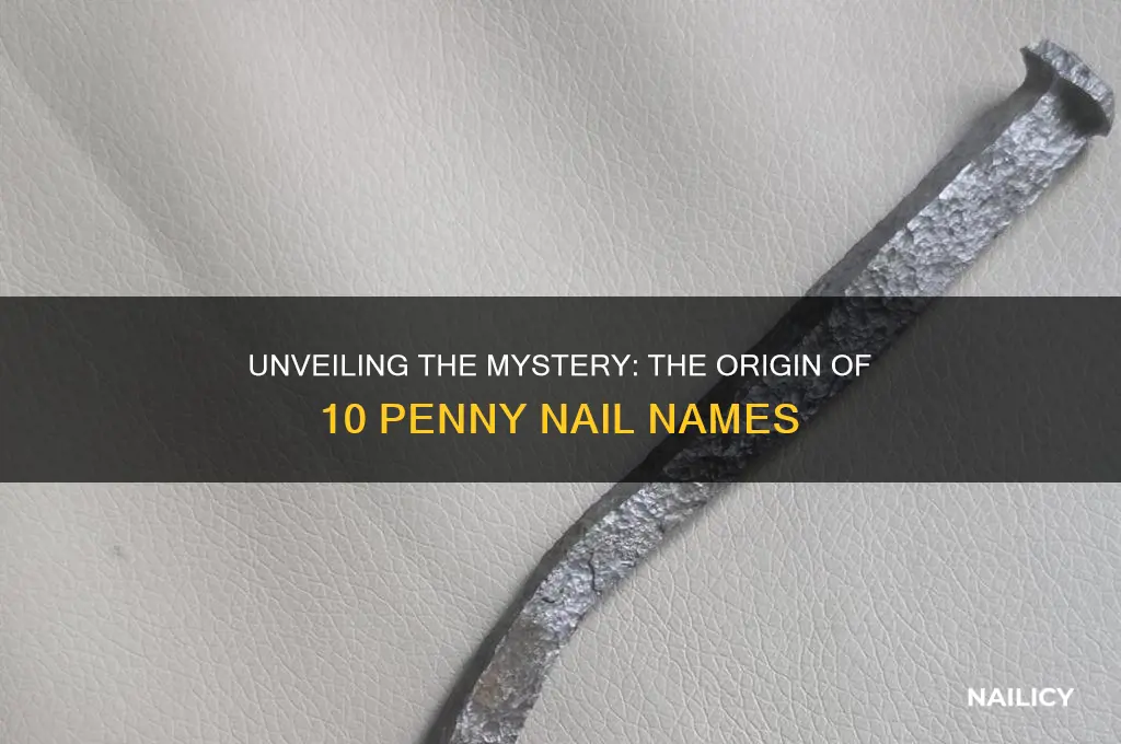 Unveiling The Mystery: The Origin Of 10 Penny Nail Names | Nailicy