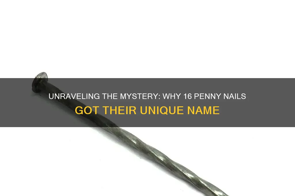 Unraveling The Mystery: Why 16 Penny Nails Got Their Unique Name | Nailicy