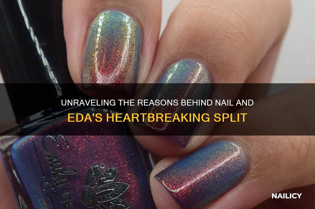Unraveling The Reasons Behind Nail And Eda's Heartbreaking Split | Nailicy