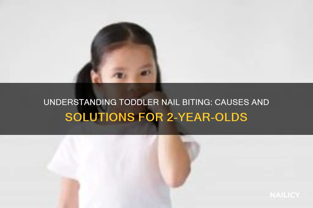 Understanding Toddler Nail Biting: Causes And Solutions For 2-Year-Olds ...