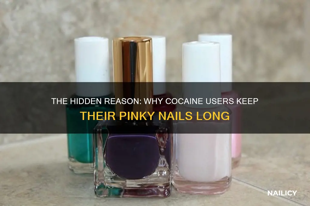The Hidden Reason: Why Cocaine Users Keep Their Pinky Nails Long | Nailicy