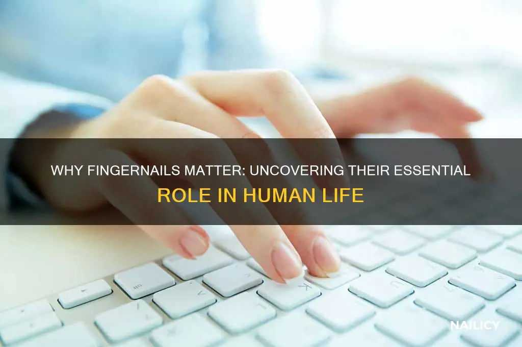 Why Fingernails Matter: Uncovering Their Essential Role In Human Life ...