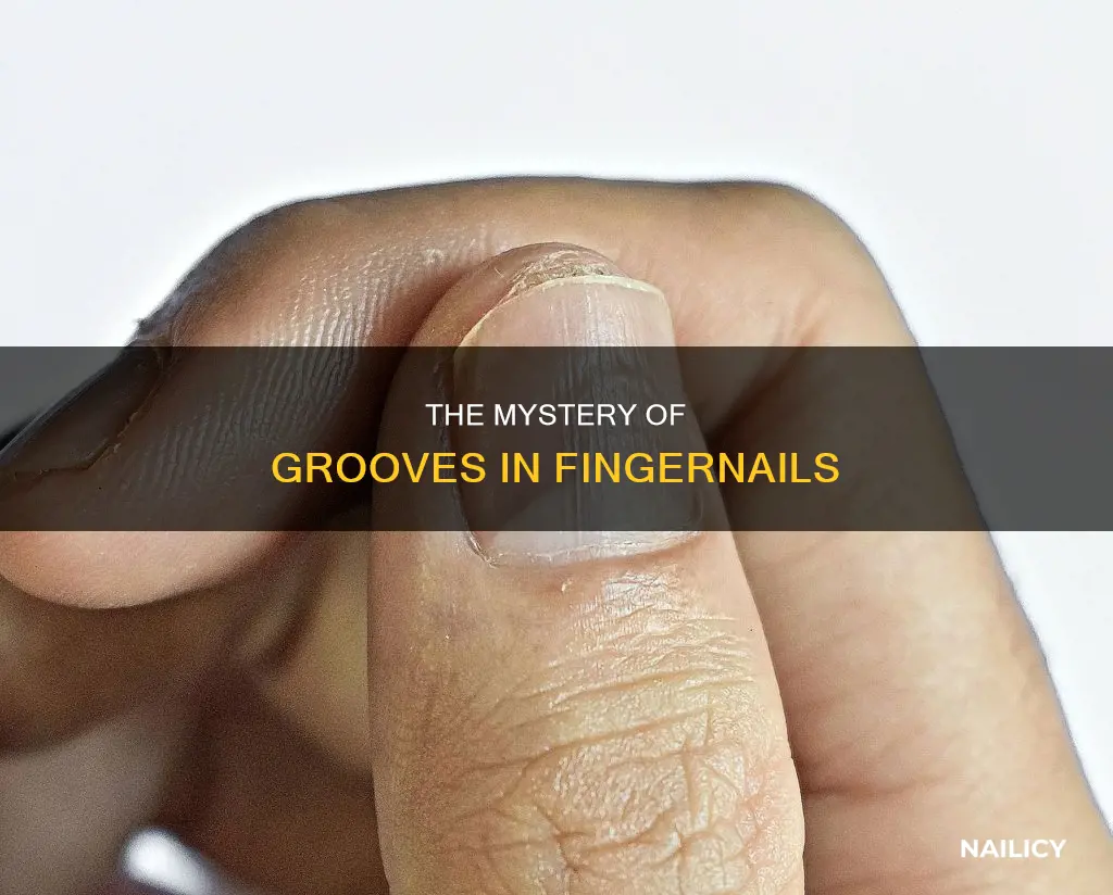 The Mystery Of Grooves In Fingernails | Nailicy