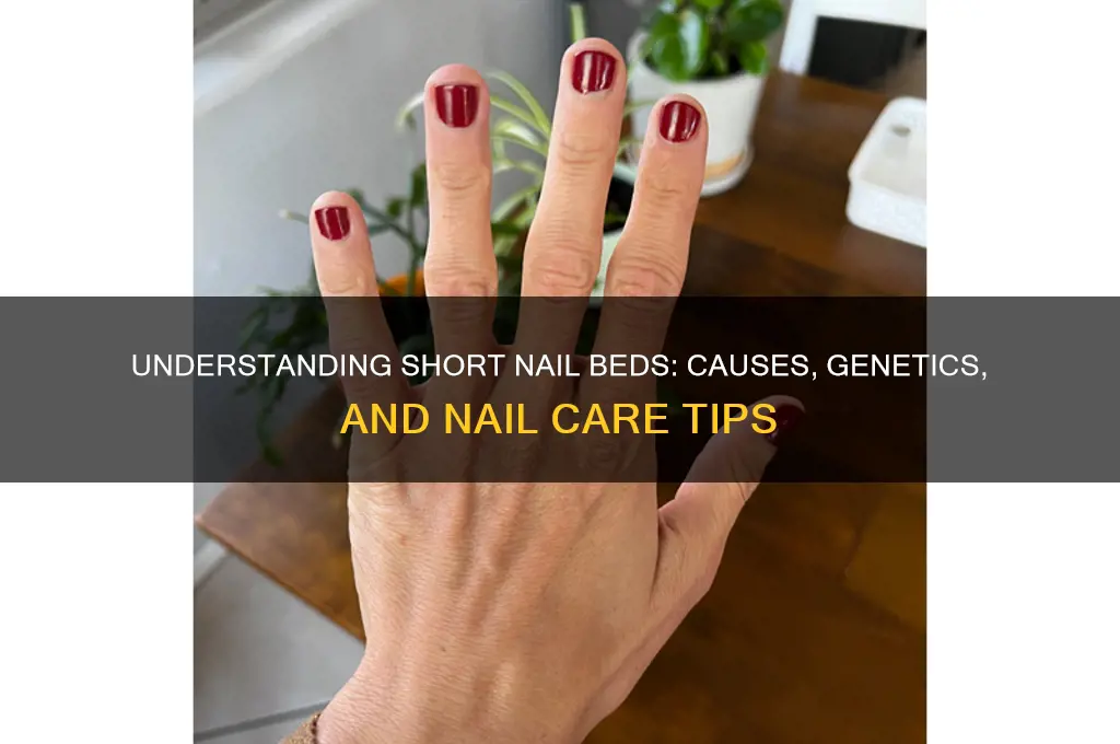 Understanding Short Nail Beds: Causes, Genetics, And Nail Care Tips ...