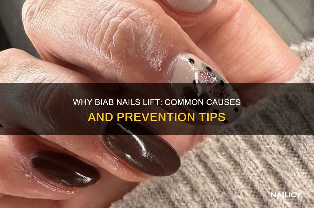 Why Biab Nails Lift: Common Causes And Prevention Tips | Nailicy