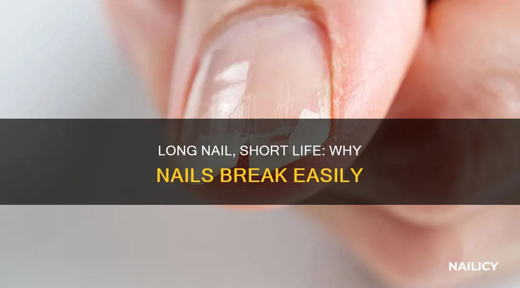 Long Nail, Short Life: Why Nails Break Easily | Nailicy