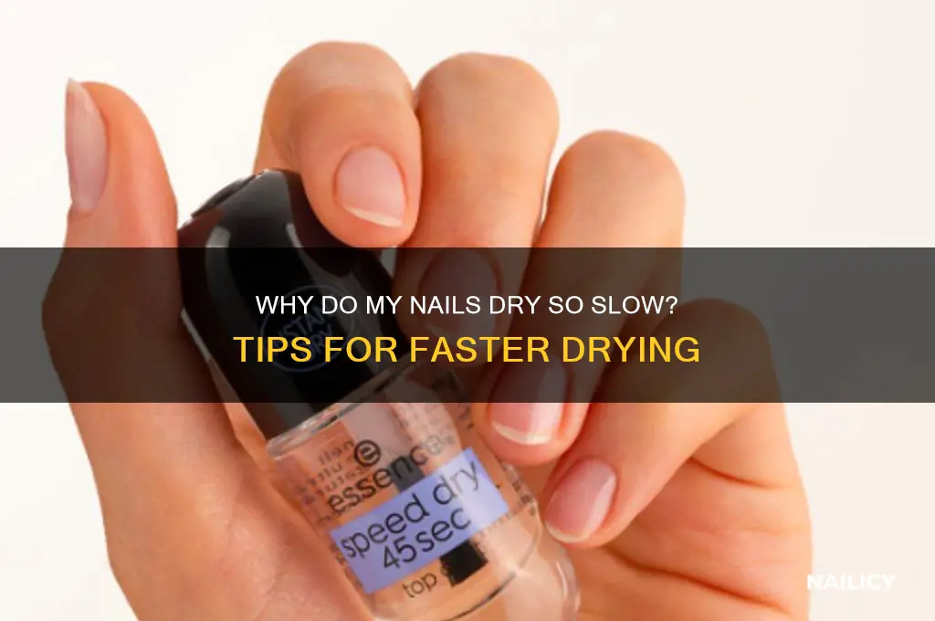 Why Do My Nails Dry So Slow? Tips For Faster Drying | Nailicy