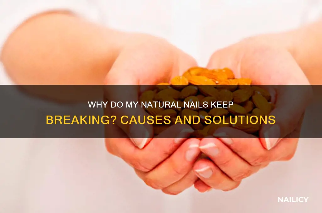 Why Do My Natural Nails Keep Breaking? Causes And Solutions | Nailicy