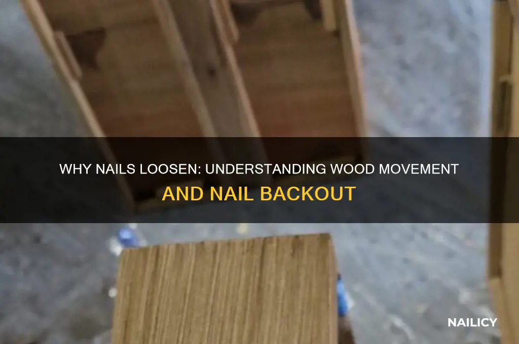 Why Nails Loosen: Understanding Wood Movement And Nail Backout | Nailicy