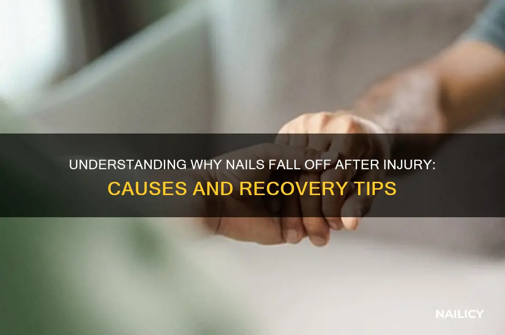 Understanding Why Nails Fall Off After Injury: Causes And Recovery Tips ...