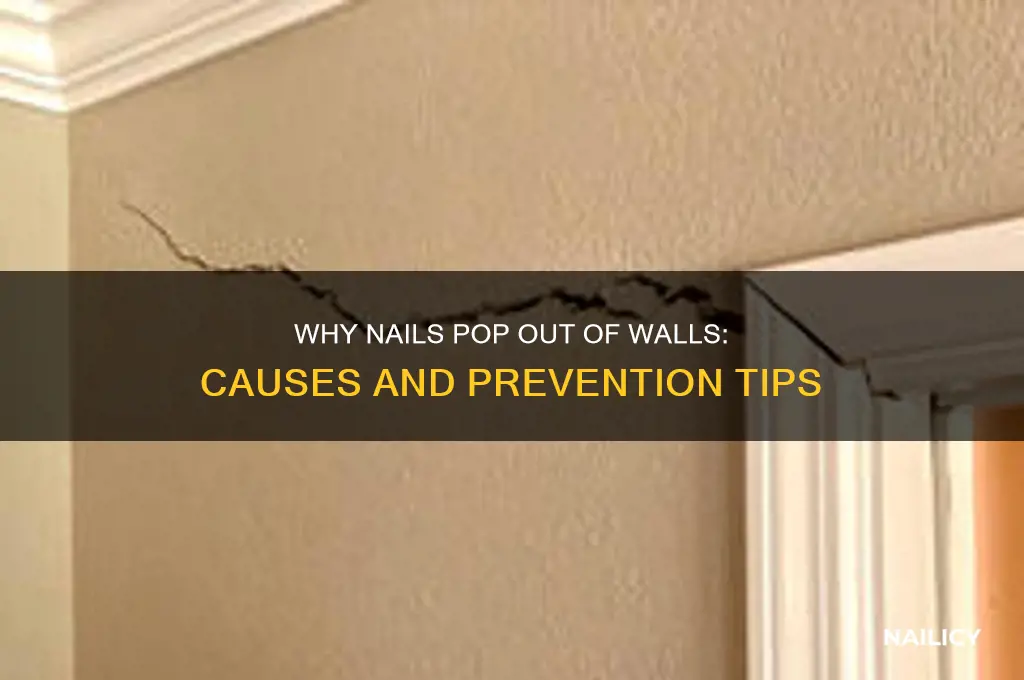Why Nails Pop Out Of Walls: Causes And Prevention Tips | Nailicy