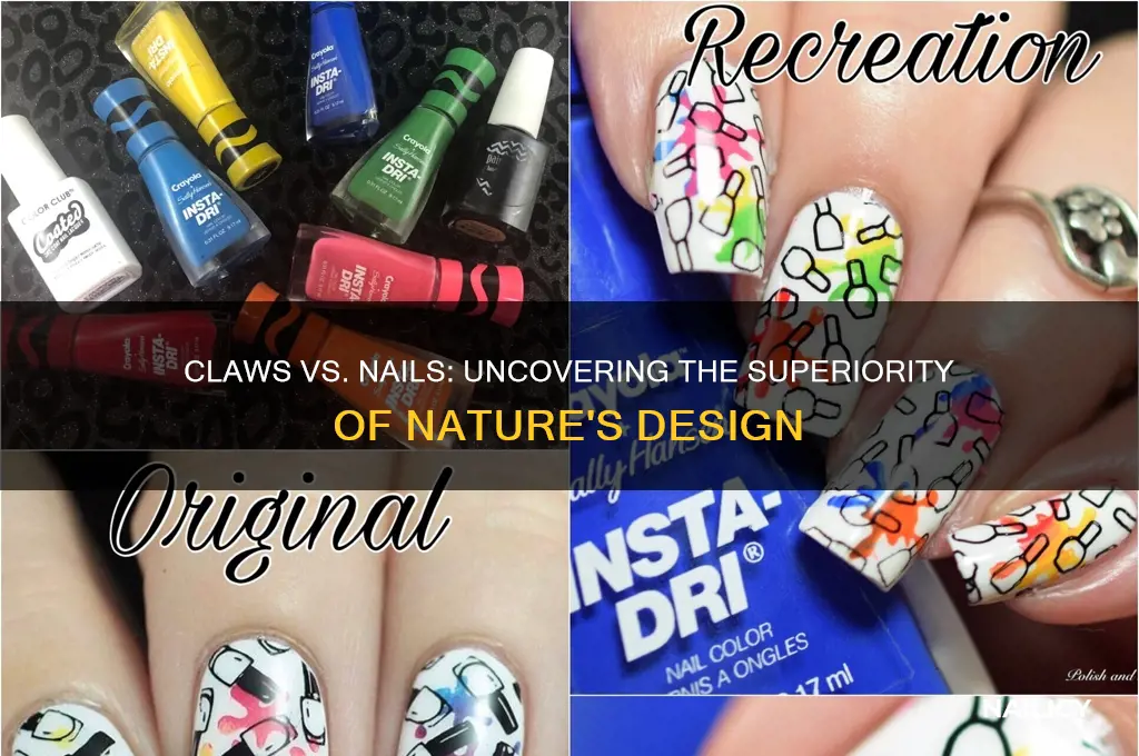 Claws Vs. Nails: Uncovering The Superiority Of Nature's Design | Nailicy