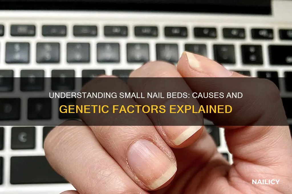 Understanding Small Nail Beds: Causes And Genetic Factors Explained ...