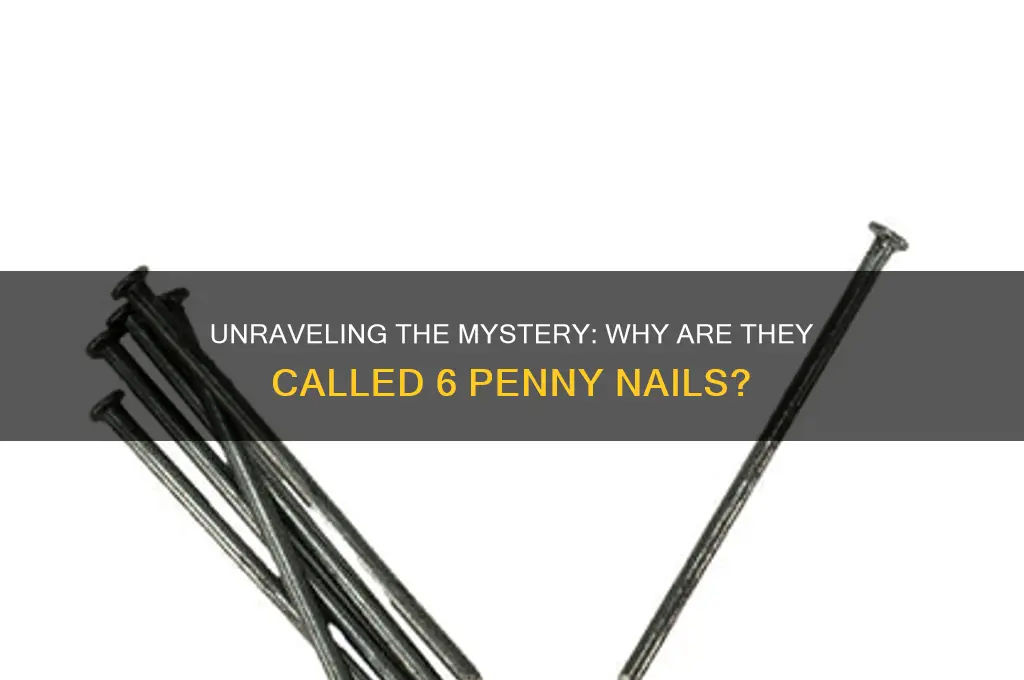 Unraveling The Mystery: Why Are They Called 6 Penny Nails? | Nailicy