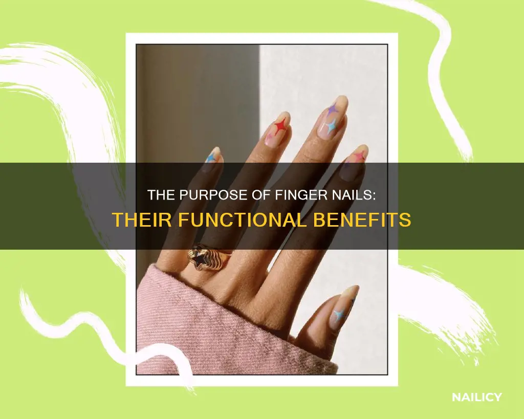 The Purpose Of Finger Nails: Their Functional Benefits | Nailicy