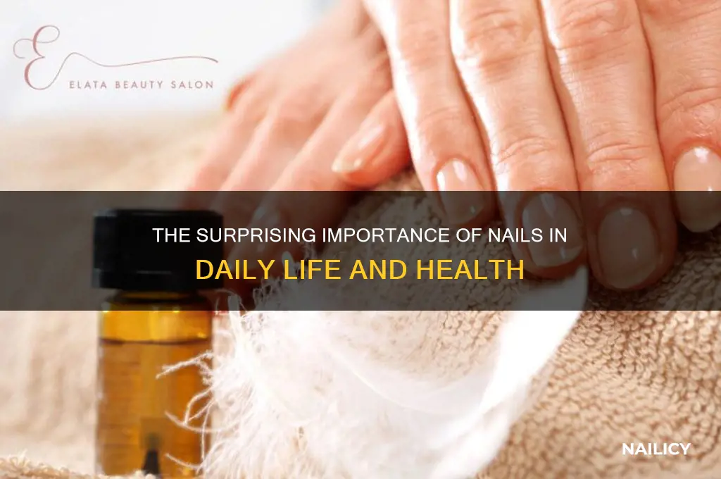 The Surprising Importance Of Nails In Daily Life And Health | Nailicy