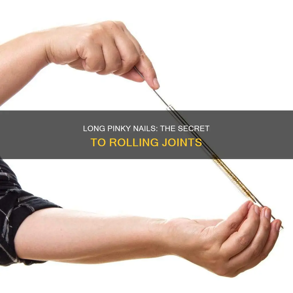 Long Pinky Nails: The Secret To Rolling Joints | Nailicy