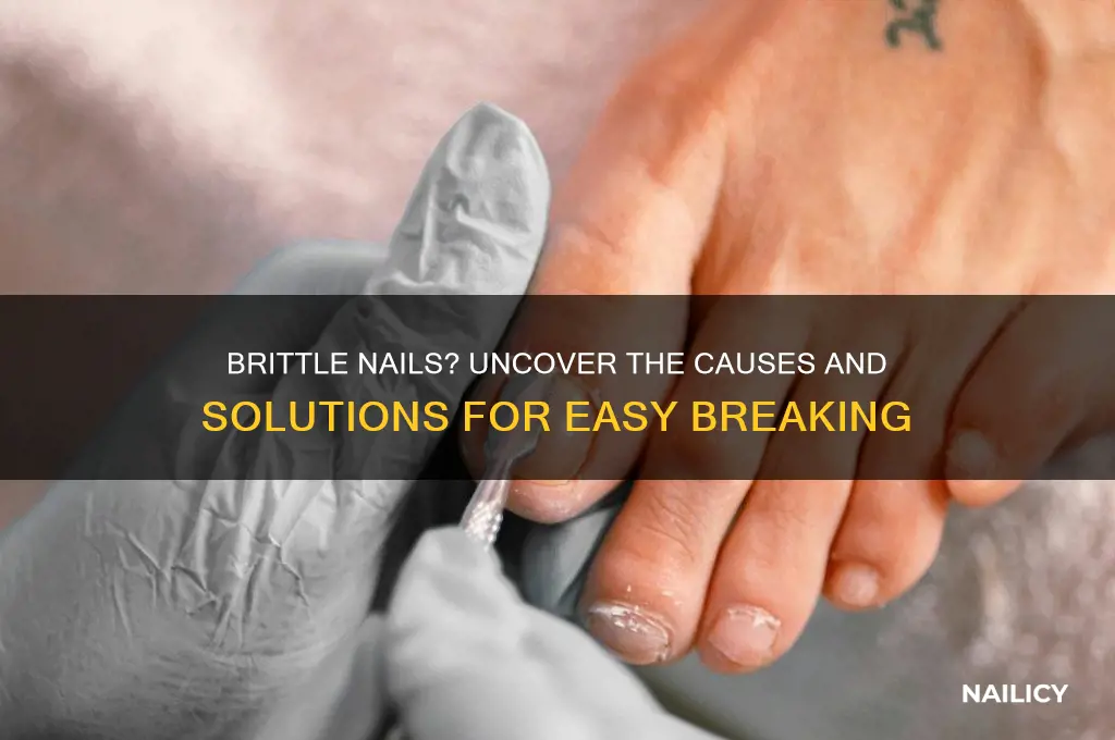 Brittle Nails? Uncover The Causes And Solutions For Easy Breaking | Nailicy