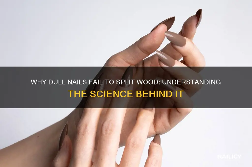 Why Dull Nails Fail To Split Wood: Understanding The Science Behind It ...