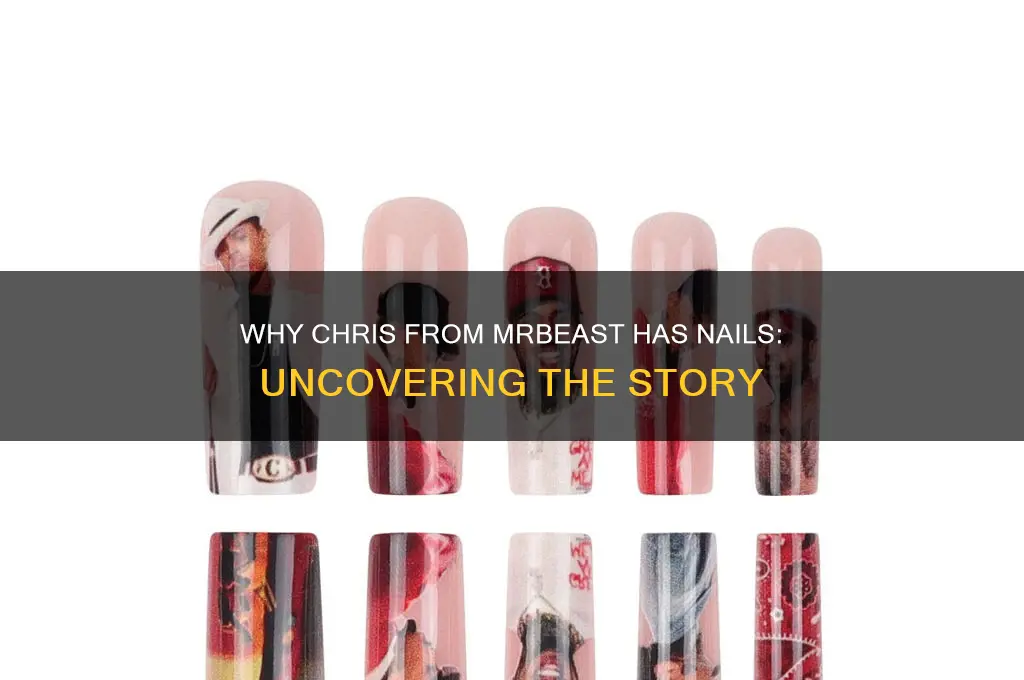 Why Chris From Mrbeast Has Nails: Uncovering The Story | Nailicy