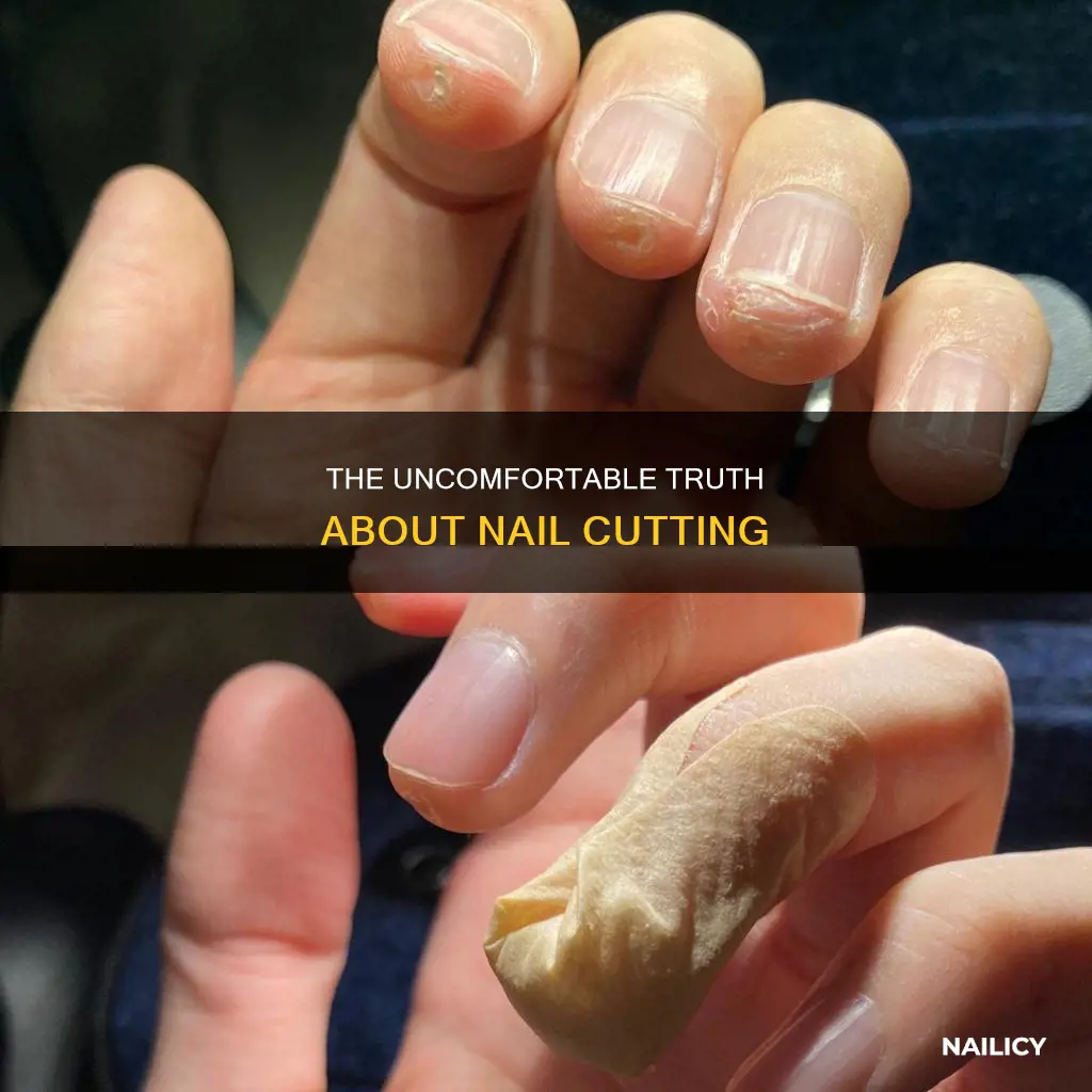 The Uncomfortable Truth About Nail Cutting | Nailicy