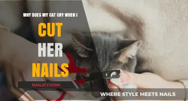 Nail Cutting: A Task Nurses Avoid | Nailicy