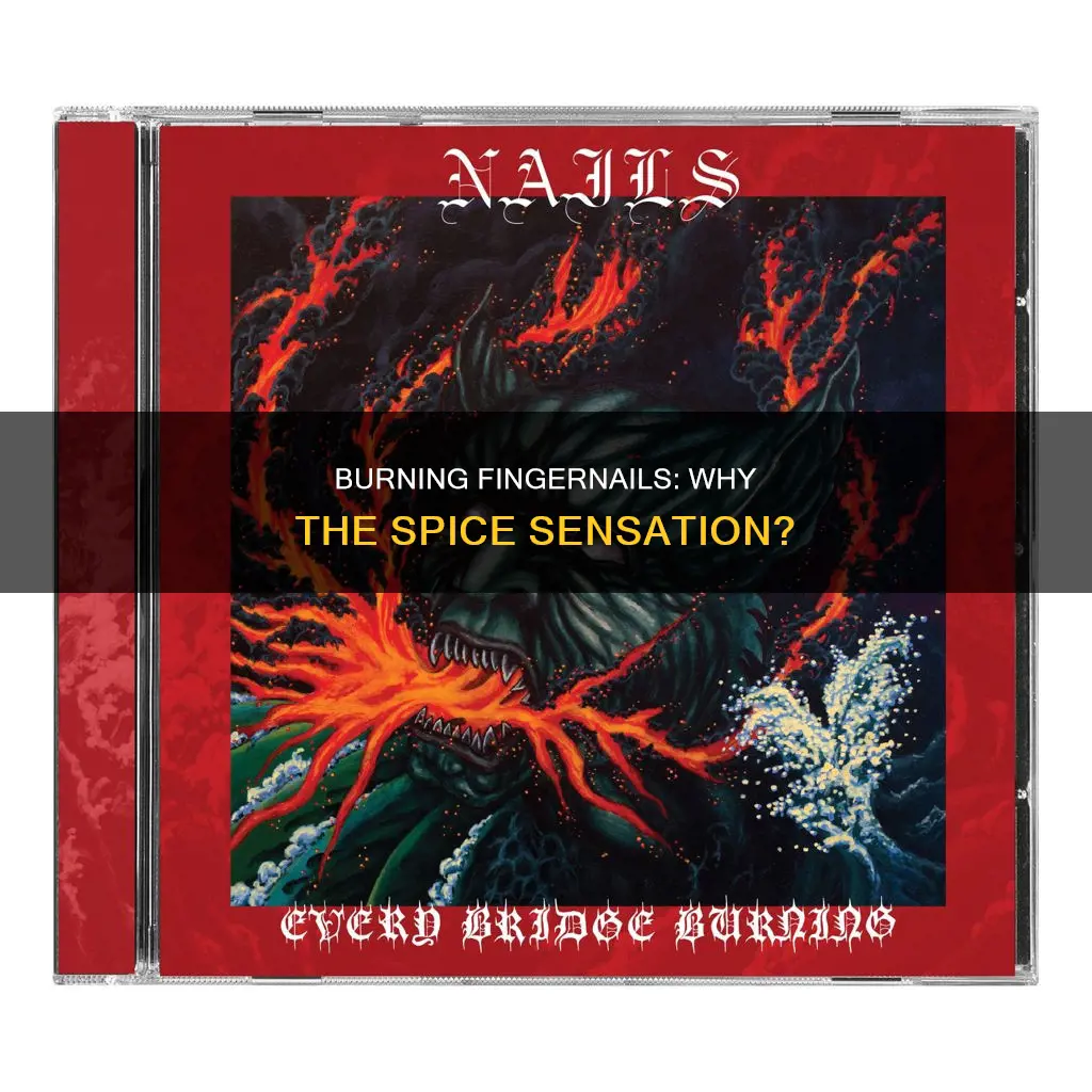 Burning Fingernails: Why The Spice Sensation? | Nailicy