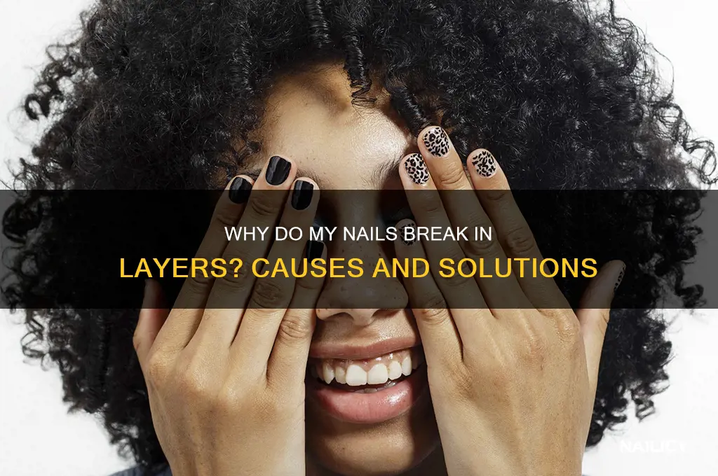 Why Do My Nails Break In Layers? Causes And Solutions | Nailicy