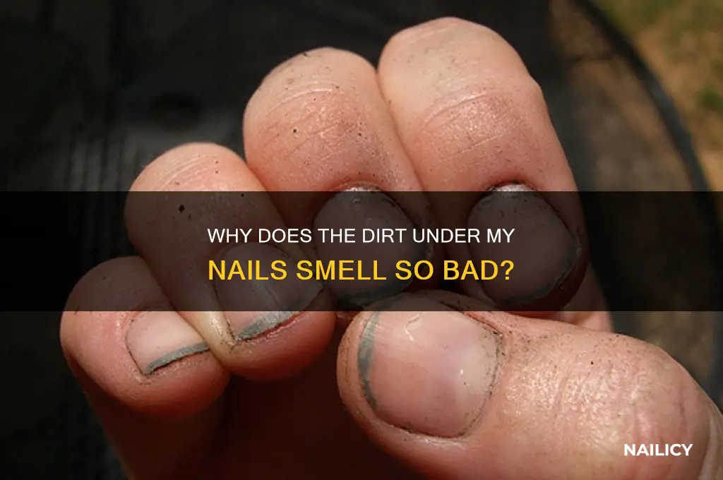 Why Does The Dirt Under My Nails Smell So Bad? | Nailicy