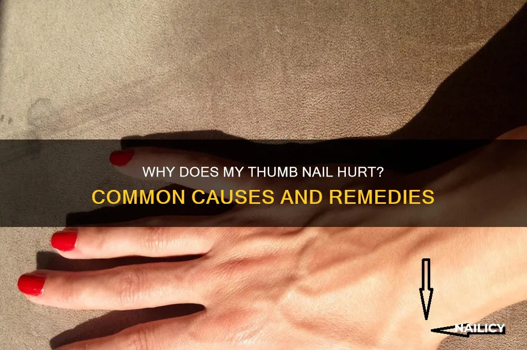 Why Does My Thumb Nail Hurt? Common Causes And Remedies | Nailicy