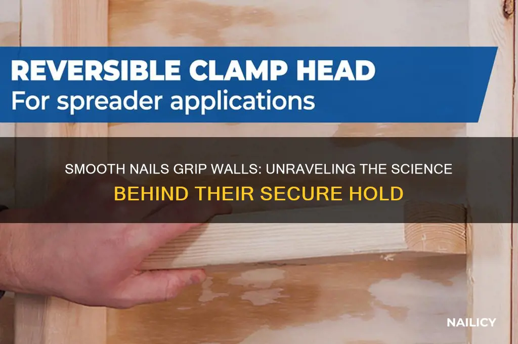 Smooth Nails Grip Walls: Unraveling The Science Behind Their Secure ...