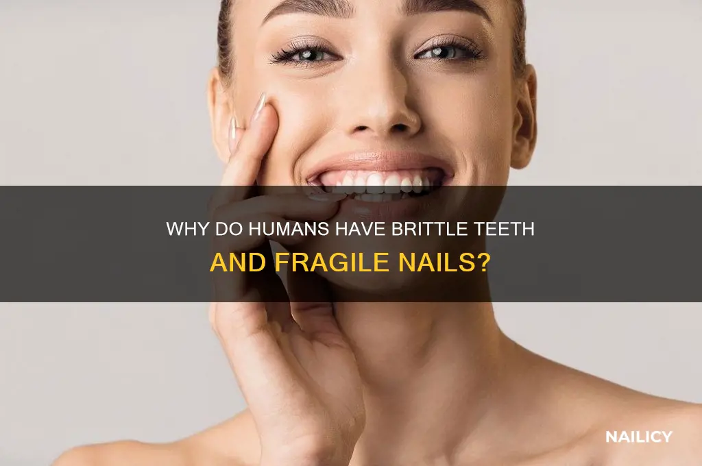 Why Do Humans Have Brittle Teeth And Fragile Nails? | Nailicy