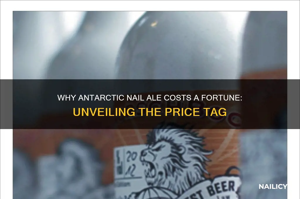 Why Antarctic Nail Ale Costs A Fortune: Unveiling The Price Tag | Nailicy