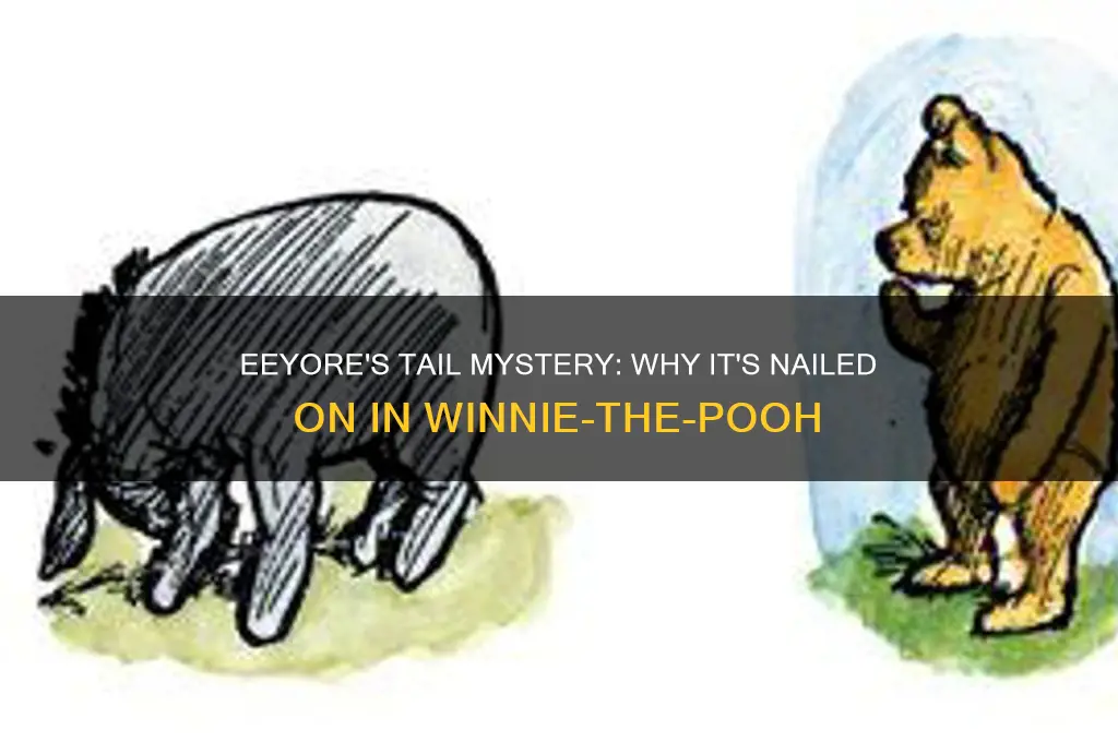 Eeyore's Tail Mystery: Why It's Nailed On In Winnie-The-Pooh | Nailicy
