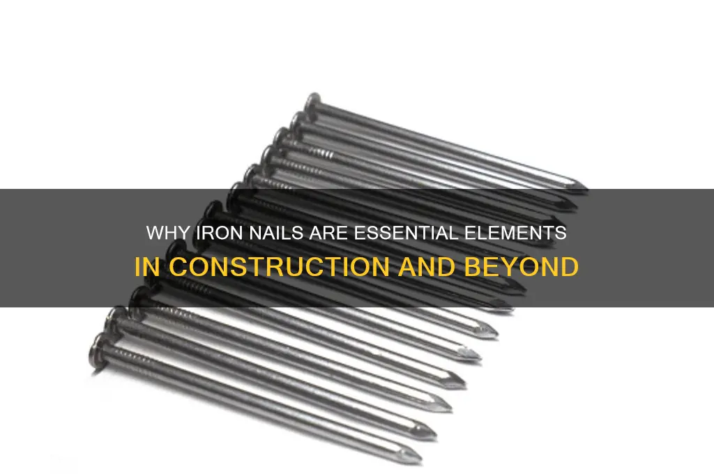 Why Iron Nails Are Essential Elements In Construction And Beyond | Nailicy