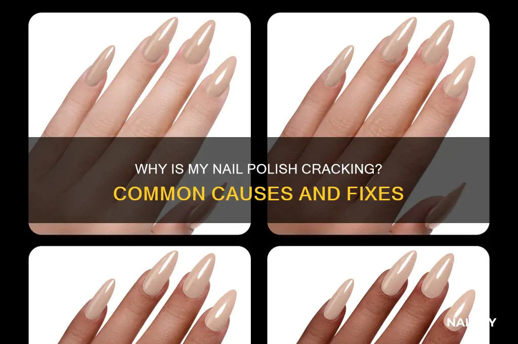 Why Is My Nail Polish Cracking? Common Causes And Fixes | Nailicy