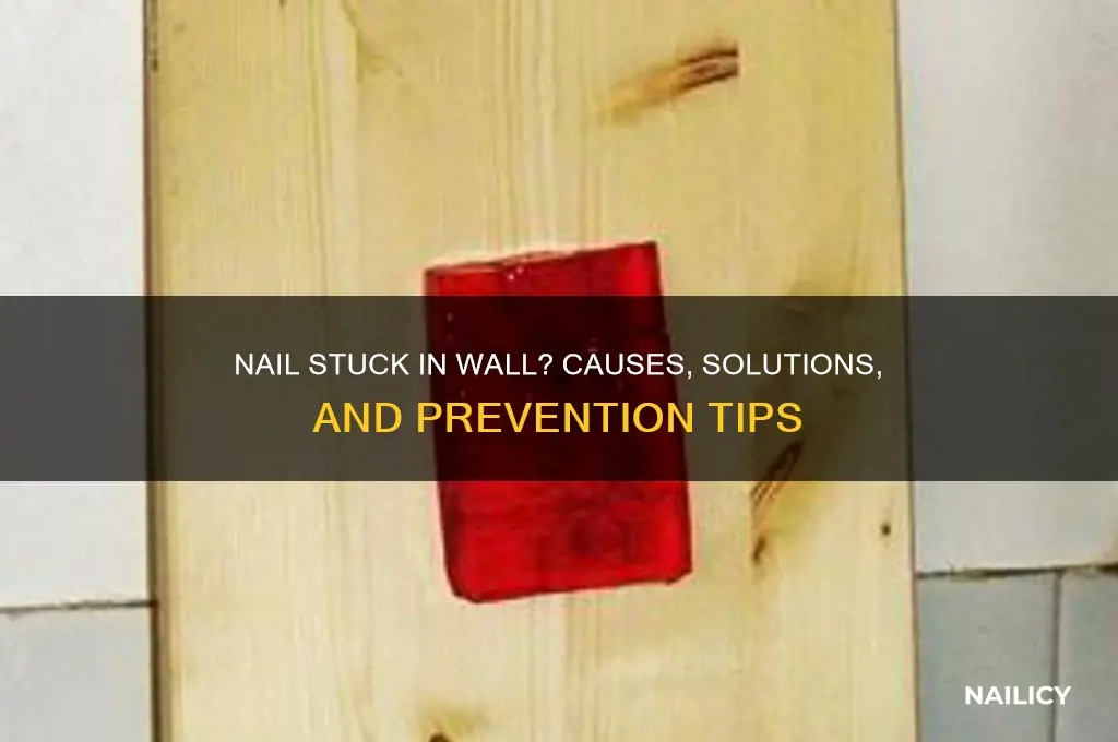 Nail Stuck In Wall? Causes, Solutions, And Prevention Tips | Nailicy