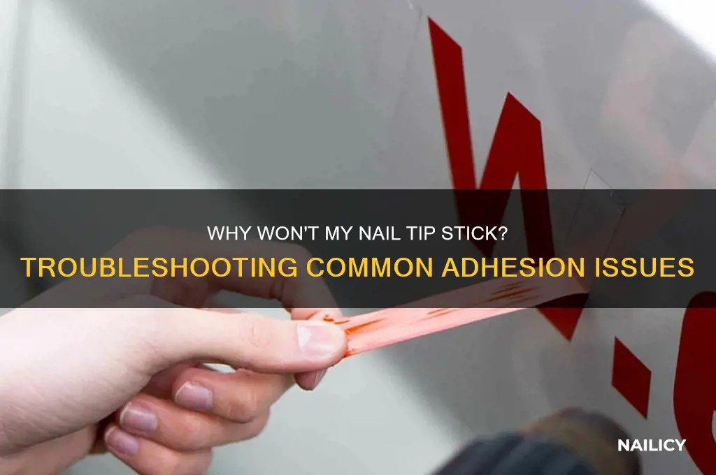 Why Won't My Nail Tip Stick? Troubleshooting Common Adhesion Issues ...