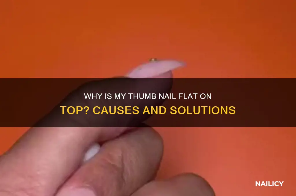 Why Is My Thumb Nail Flat On Top? Causes And Solutions | Nailicy