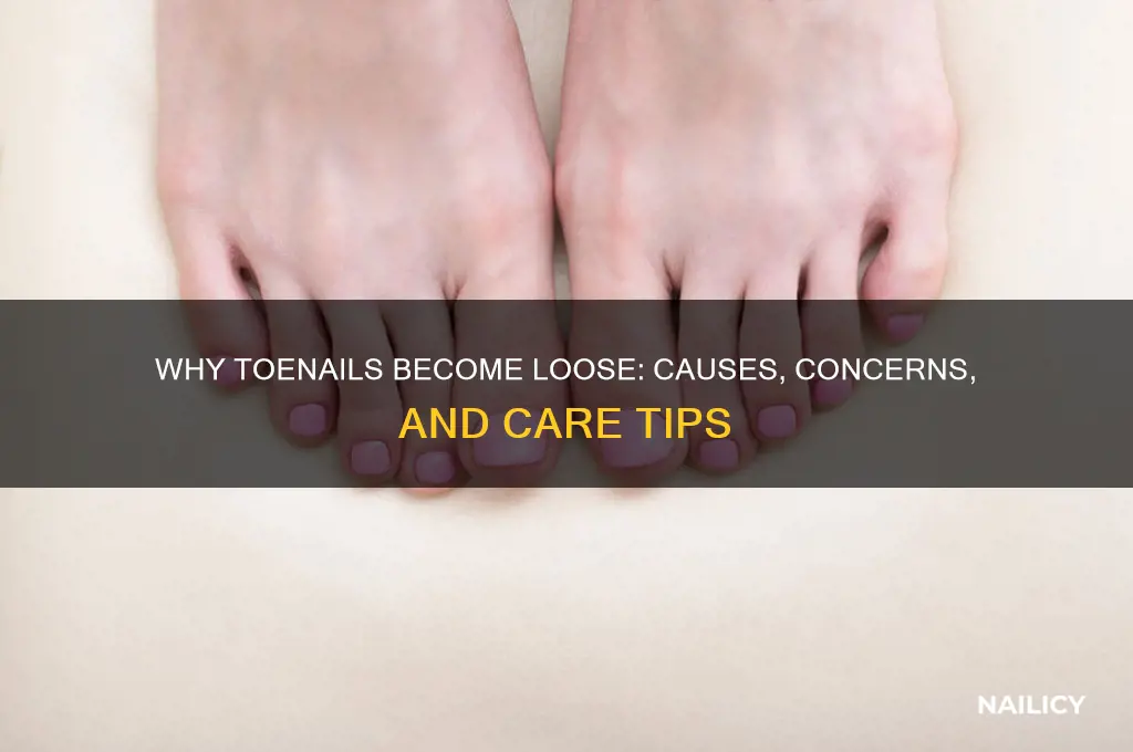 Why Toenails Become Loose: Causes, Concerns, And Care Tips | Nailicy