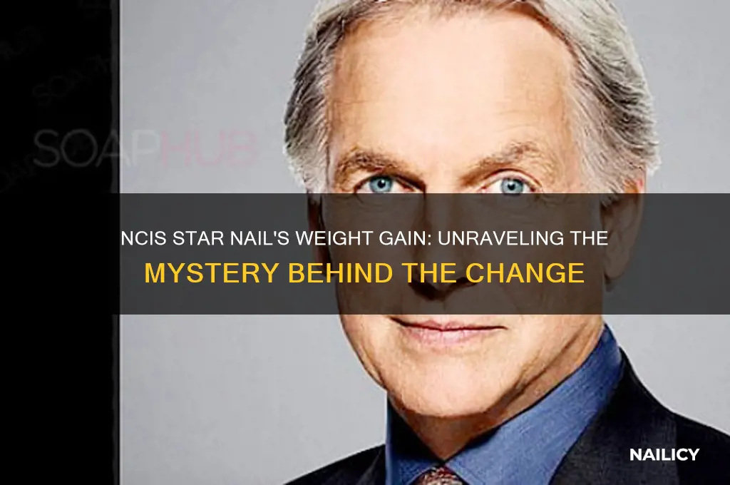 Ncis Star Nail's Weight Gain: Unraveling The Mystery Behind The Change ...
