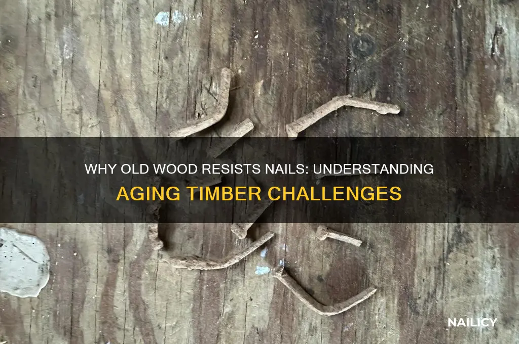 Why Old Wood Resists Nails: Understanding Aging Timber Challenges | Nailicy