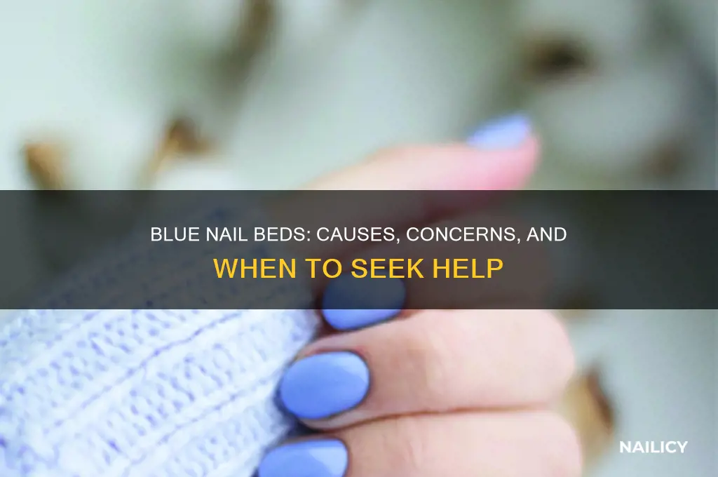 Blue Nail Beds: Causes, Concerns, And When To Seek Help | Nailicy