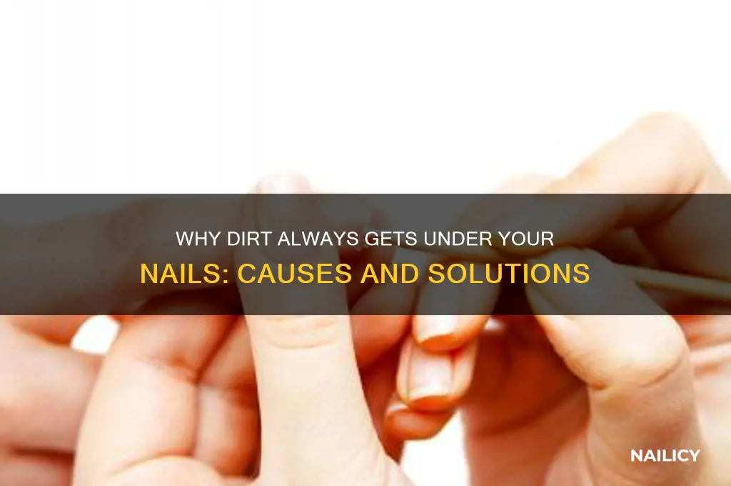 Why Dirt Always Gets Under Your Nails: Causes And Solutions | Nailicy