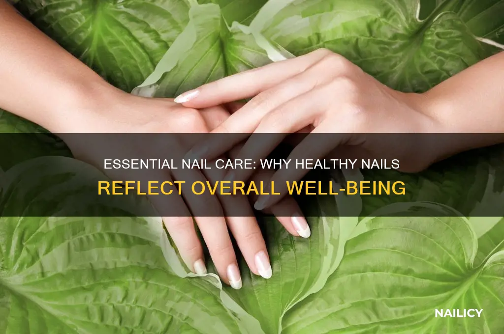 Essential Nail Care: Why Healthy Nails Reflect Overall Well-Being | Nailicy